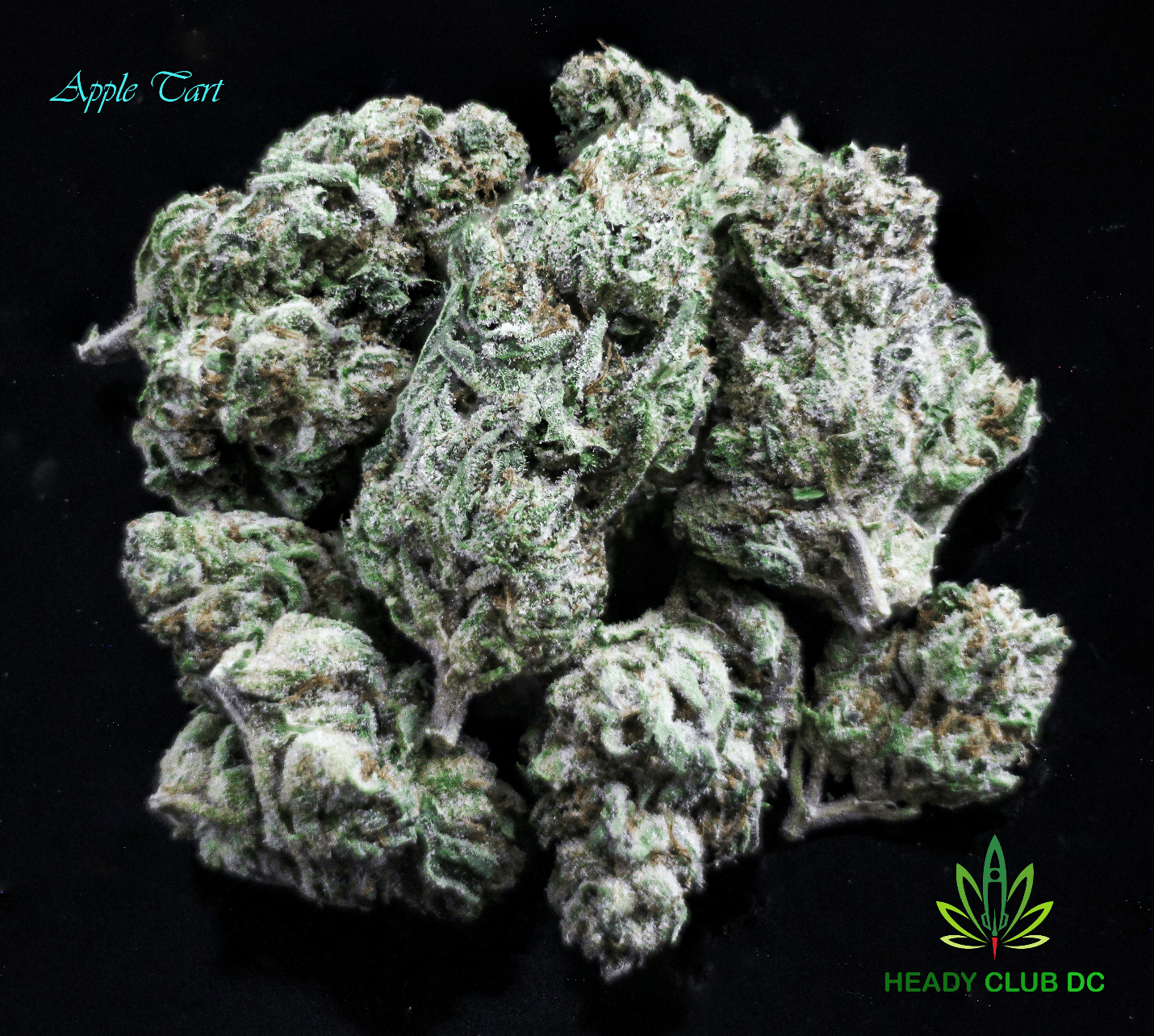 Weed Laws 101: Everything You Need to Know About Cannabis in Washington ...